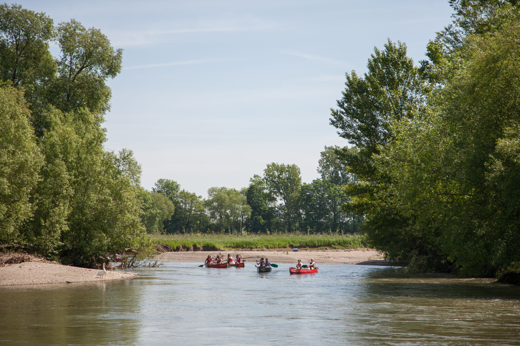 Un environnement naturel exceptionnel – Les Canoës du Ried